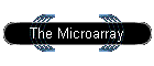 fayers BME240 - The Microarray